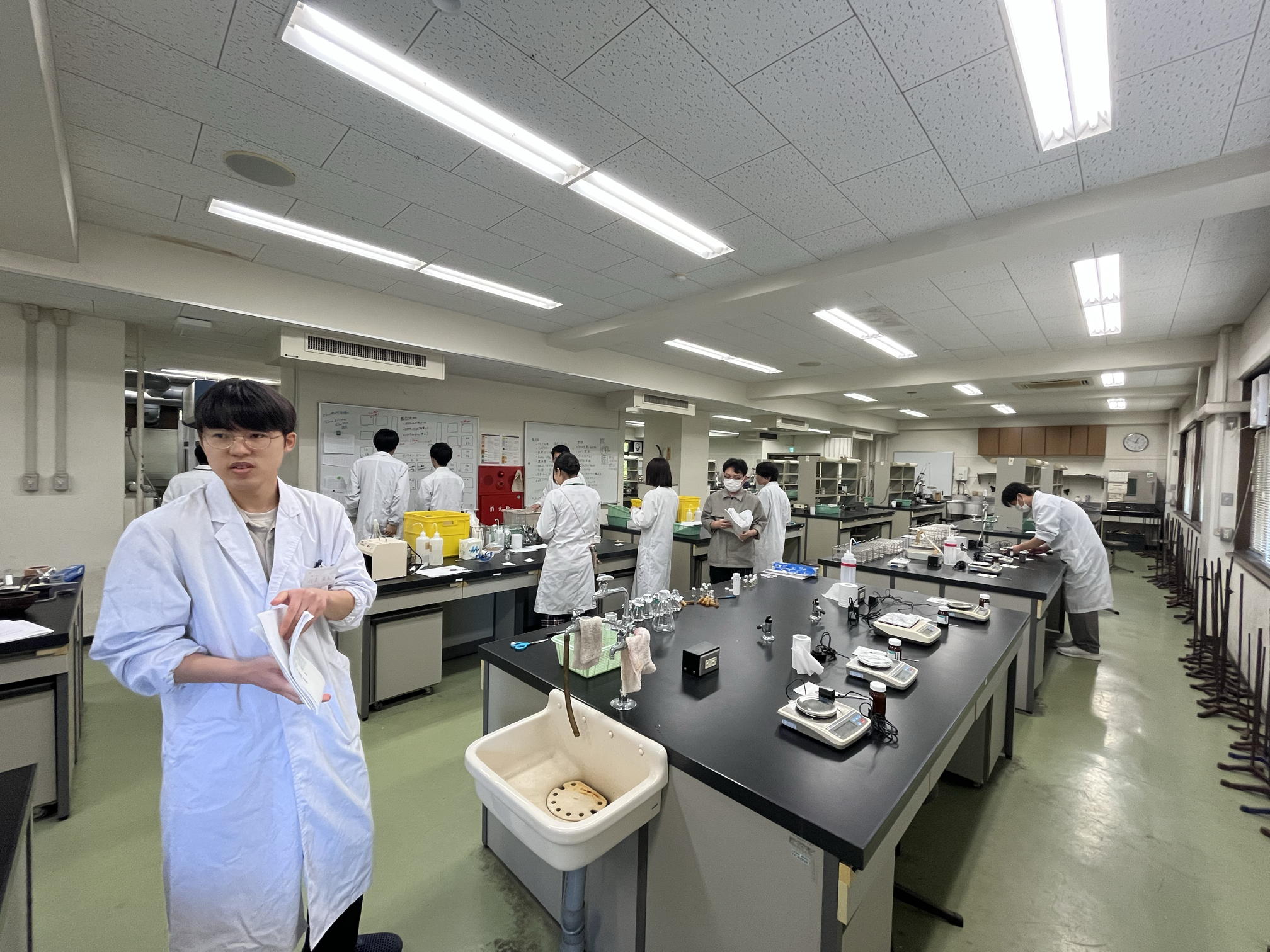 実習。 – 東北⼤学⼤学院薬学研究科_浅井研究室