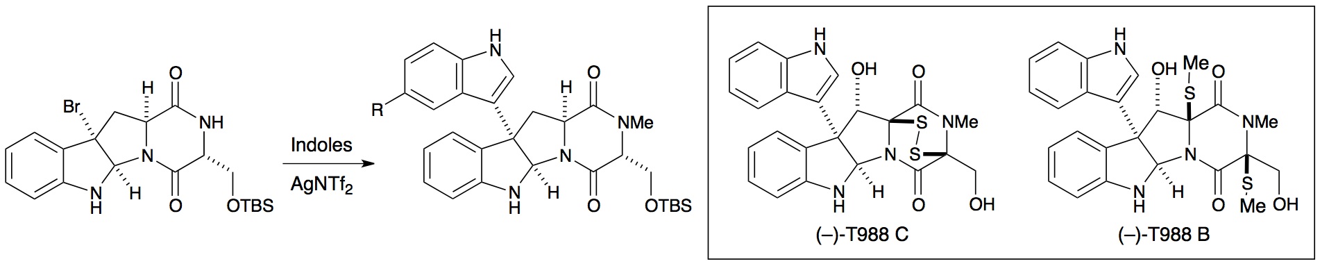 Tokuyama Lab - Publication