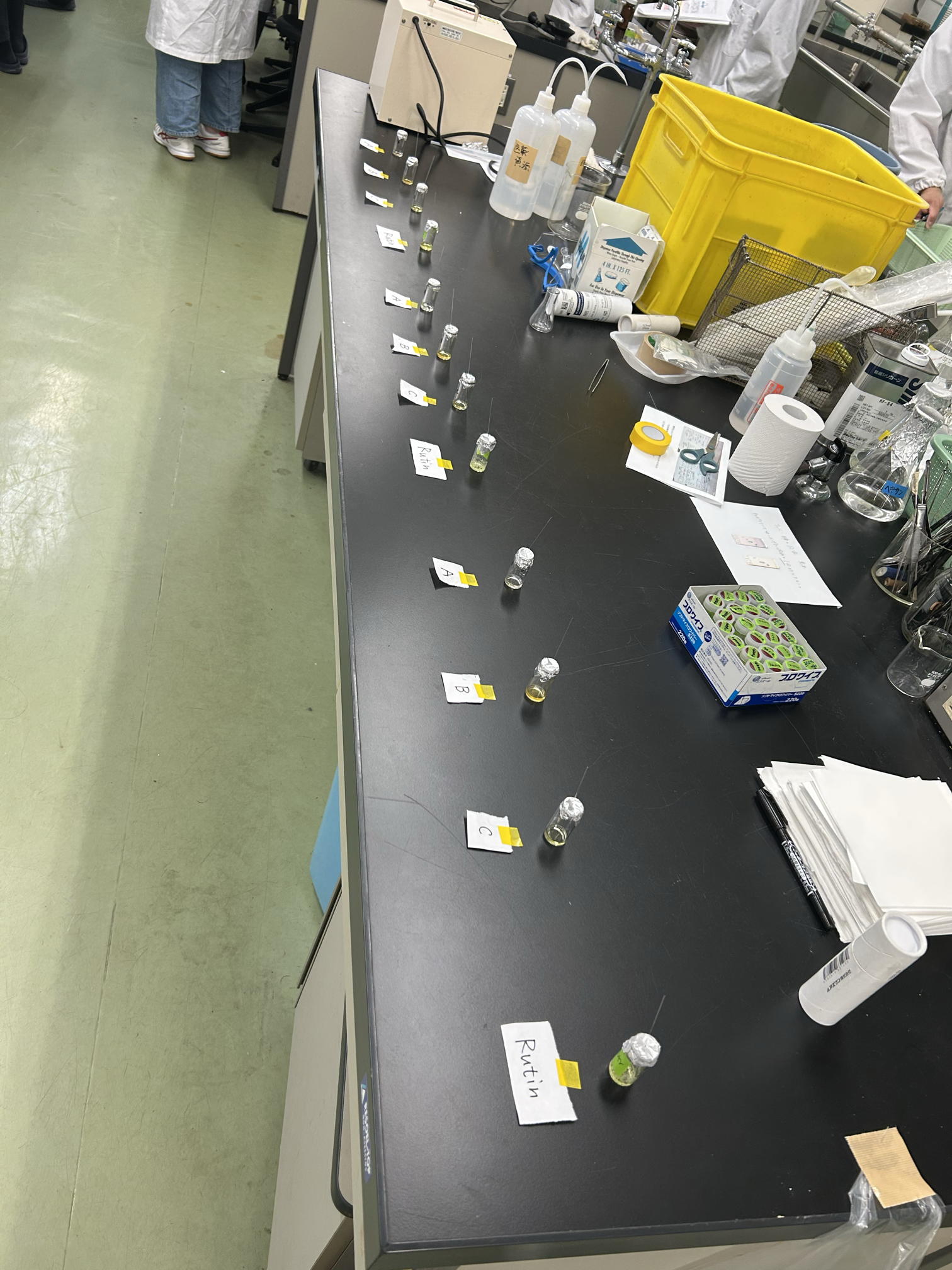 実習。 – 東北⼤学⼤学院薬学研究科_浅井研究室