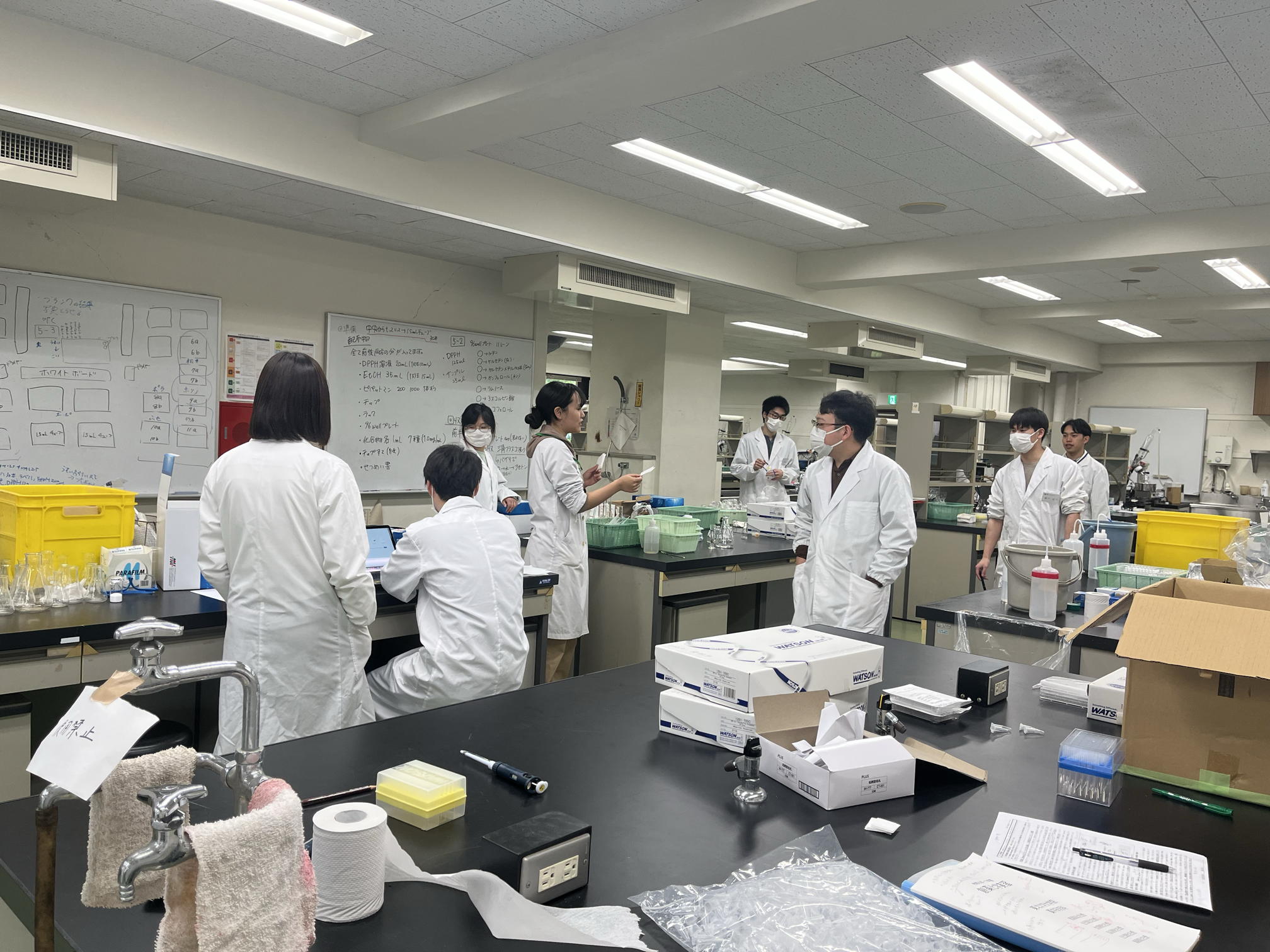 実習。 – 東北⼤学⼤学院薬学研究科_浅井研究室